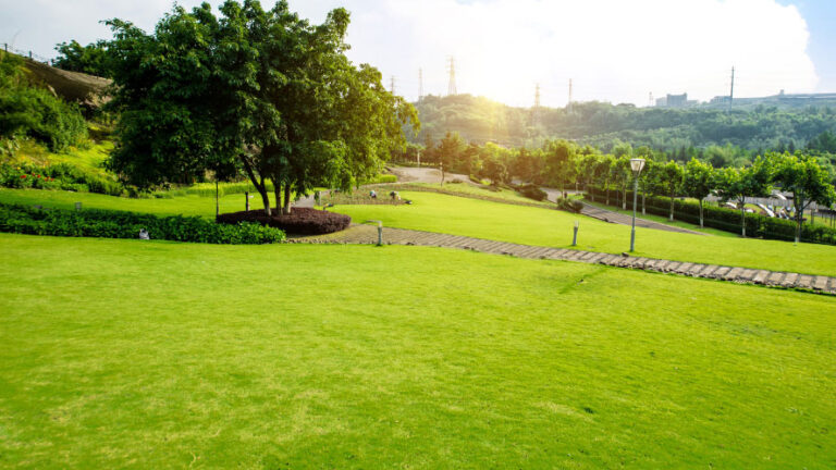 Will swimming pool water kill grass? - CPC Pools